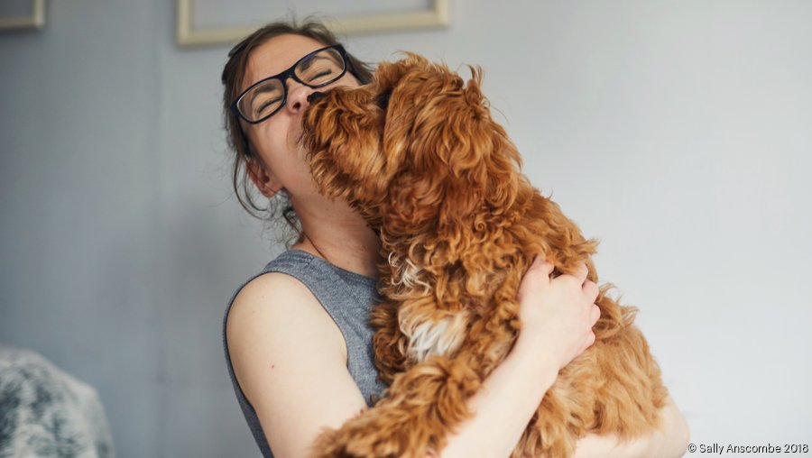 We'll be treating our pets even more like humans in 2019 - New York ...