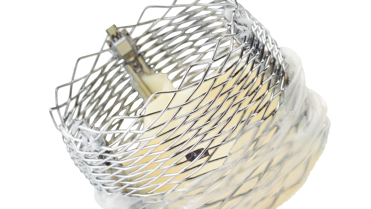 Boston Scientific settles lawsuit over global heart valve for $180M ...