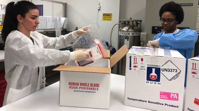 Memphis-based Key Biologics — a Cellero company — part of acquisition by Charles River ...