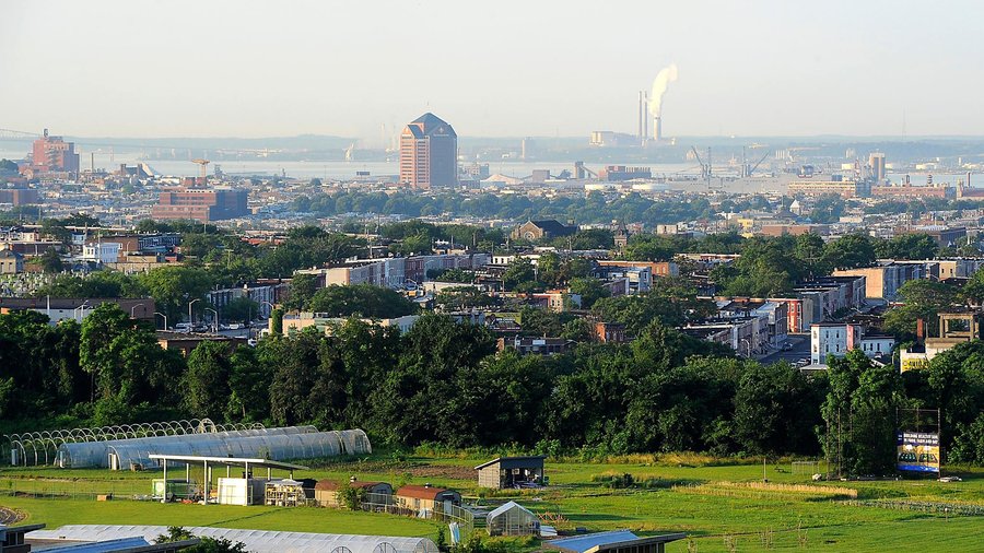 Viewpoint: Urban farmers need support after record-breaking rainy year ...