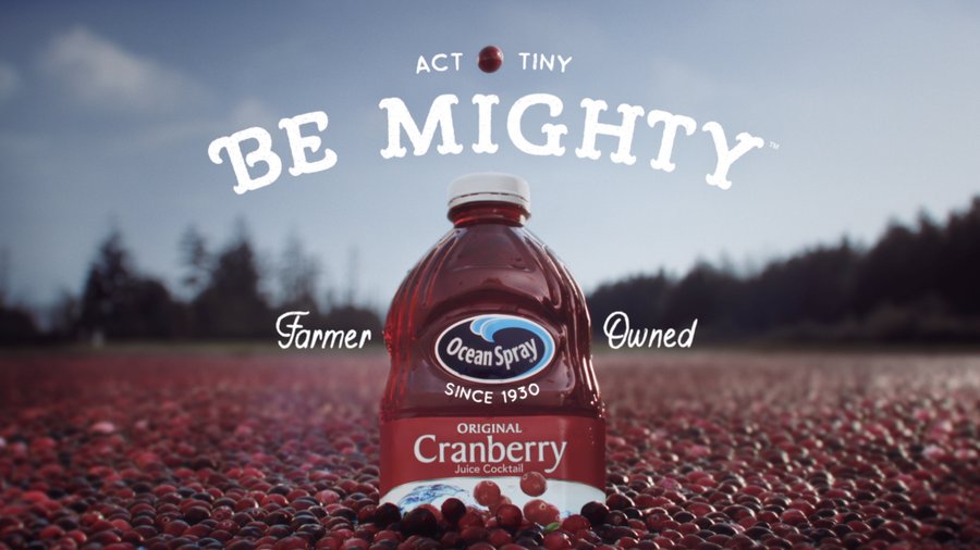 Ocean Spray zeroes in on tiny things in ad from Energy BBDO Chicago ...