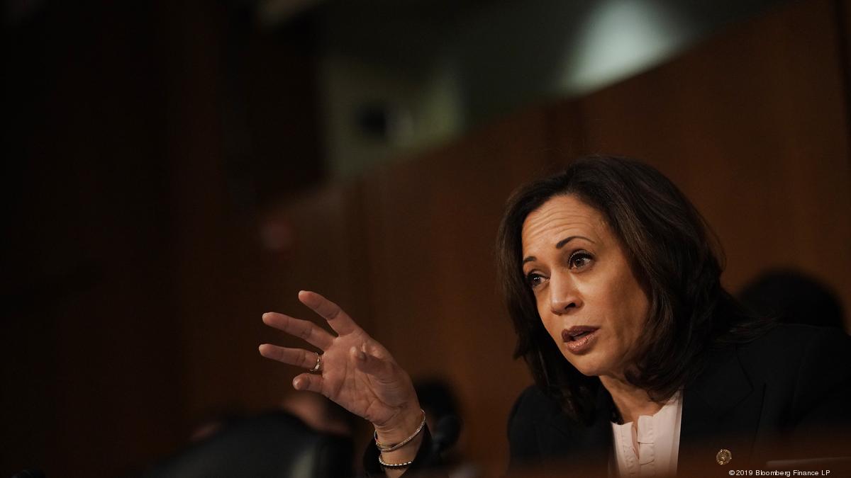 Joe Biden picks Kamala Harris as vice president running mate for 2020 ...