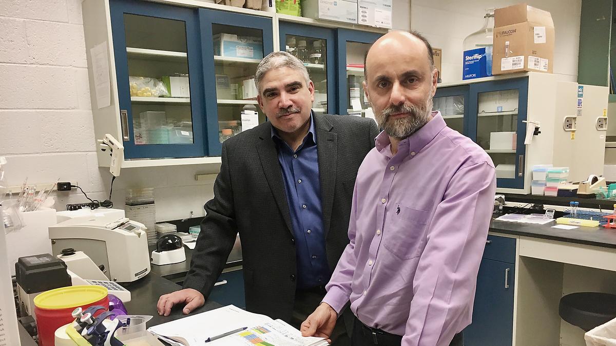 Immuno-oncology startup Navrogen finds a home at St. Joseph's ...