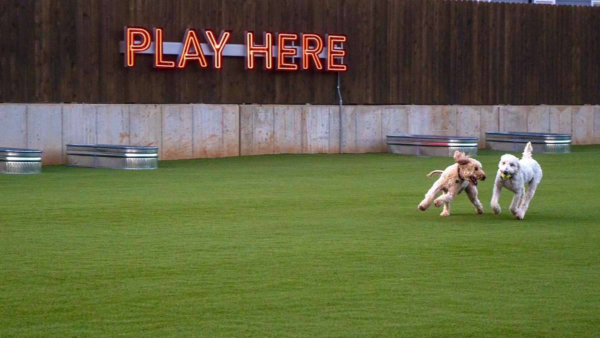 Fetch Park to open in Germantown - Nashville Business Journal