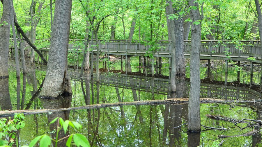 Countdown: 10 most popular parks - Dayton Business Journal