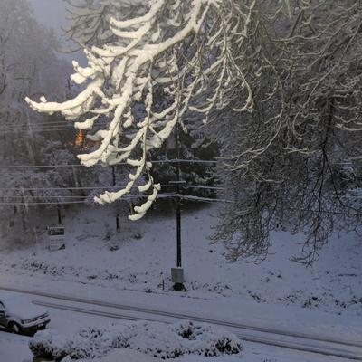 5 things to know, and snow in Placerville - Sacramento Business Journal