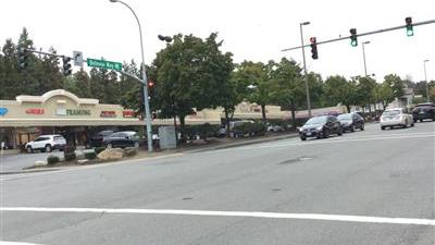Bosa buys fourth development site in Seattle suburb - Puget Sound ...