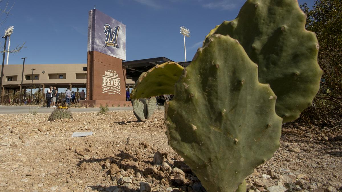 Brewers unveil spring training renovations - Phoenix Business Journal