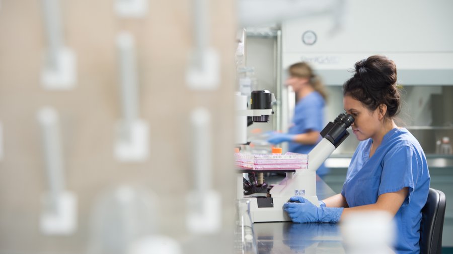 Charles River Labs says its biotech, pharma clients' data was hacked - Boston Business Journal