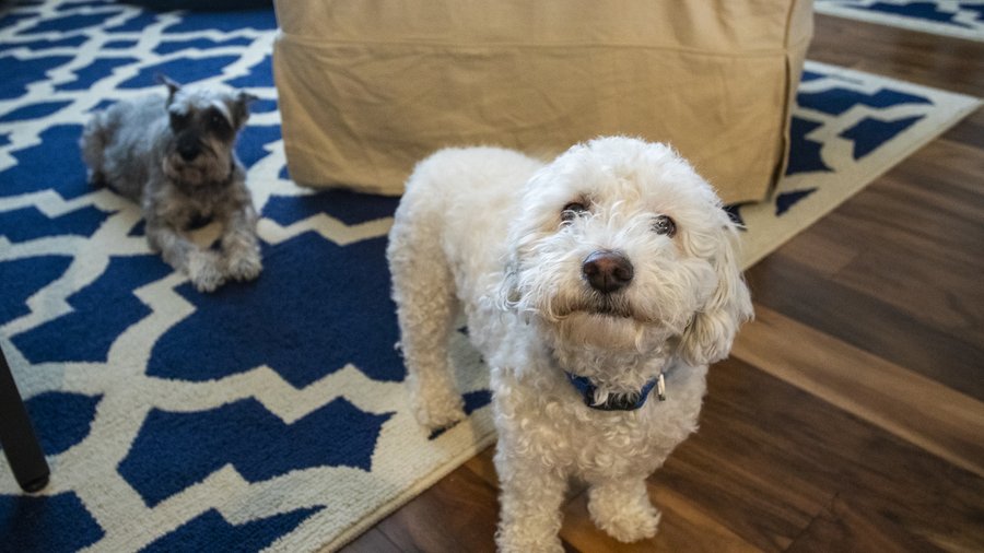 See inside cool Gilbert home of Jackie and Eric Wright - Phoenix ...