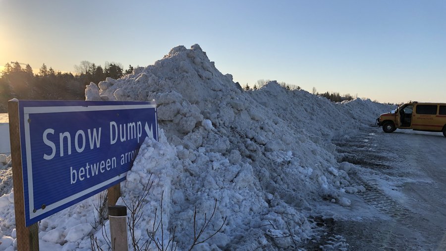 Alaska Air Group suffers $20 million hit because of Snowmageddon 2019 ...