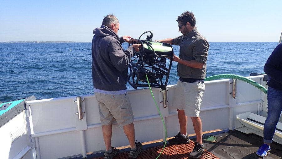 Meet the New England Aquarium’s robotic research assistant - Boston ...
