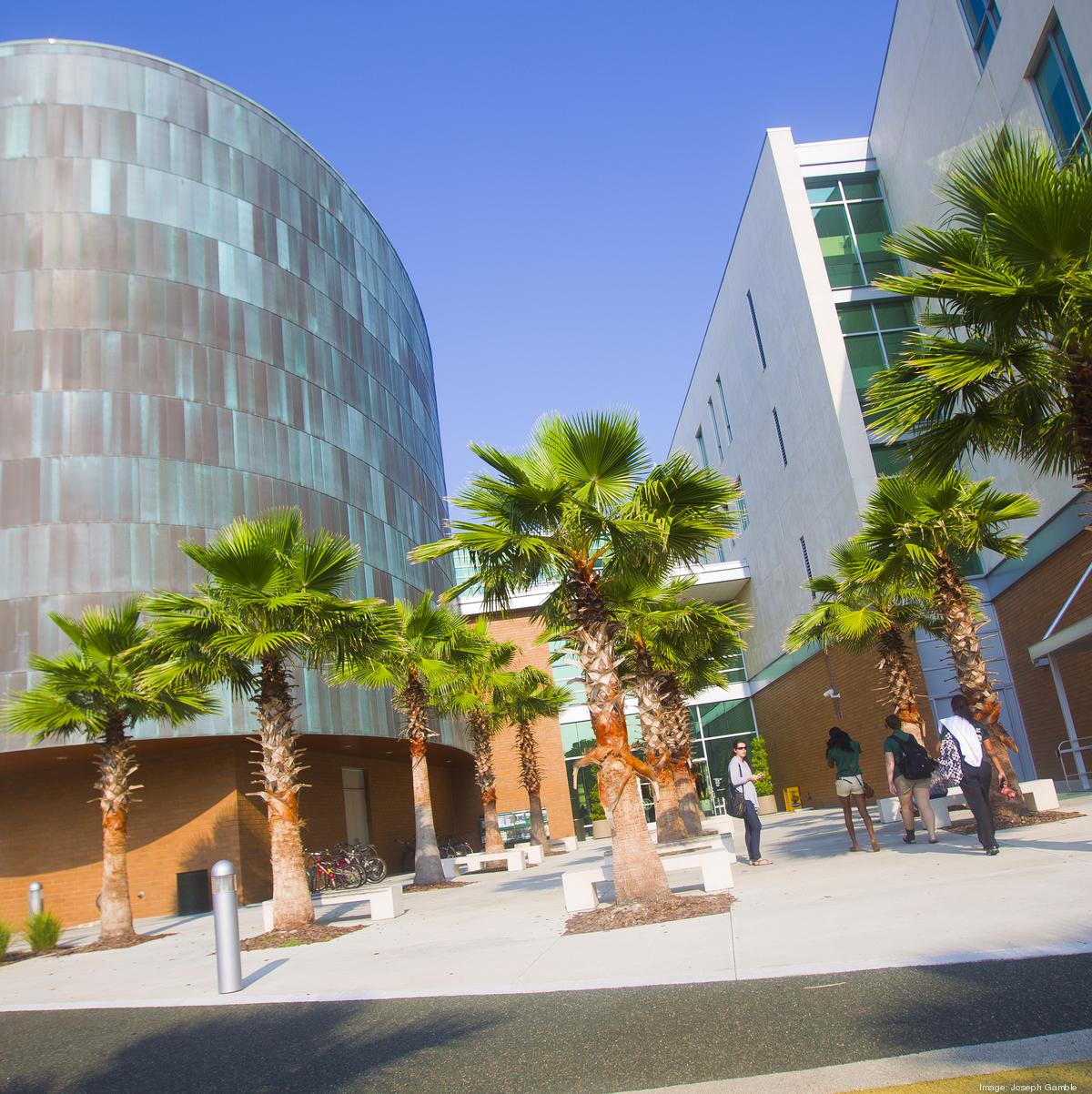 Usf Campus