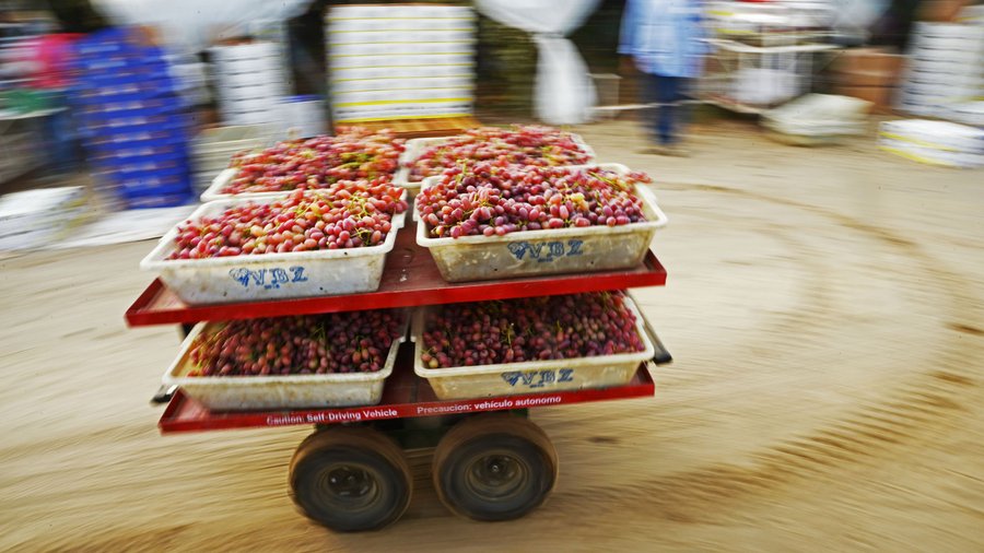 Agtech startup Augean Robotics Startup raises $1.5M for ‘Burro ...