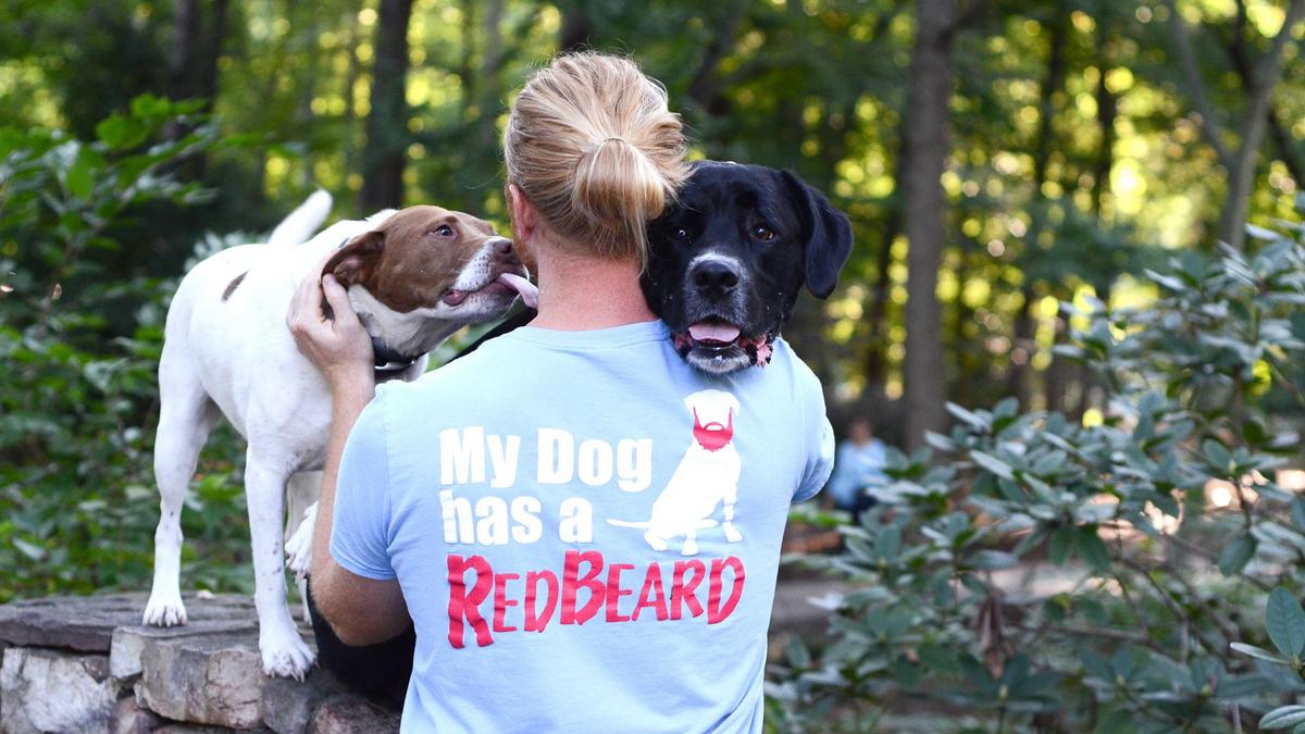 Leading the pack: Triad dog-training business sees steady growth ...