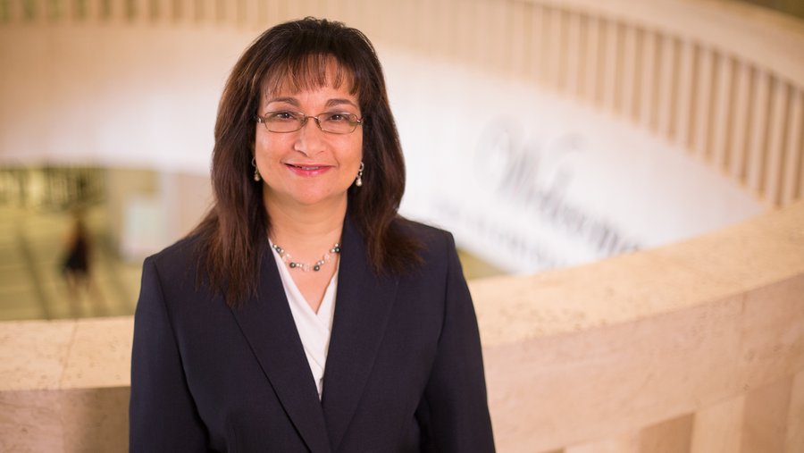 Gunster's Lila Jaber sees all sides through legal practice and public ...
