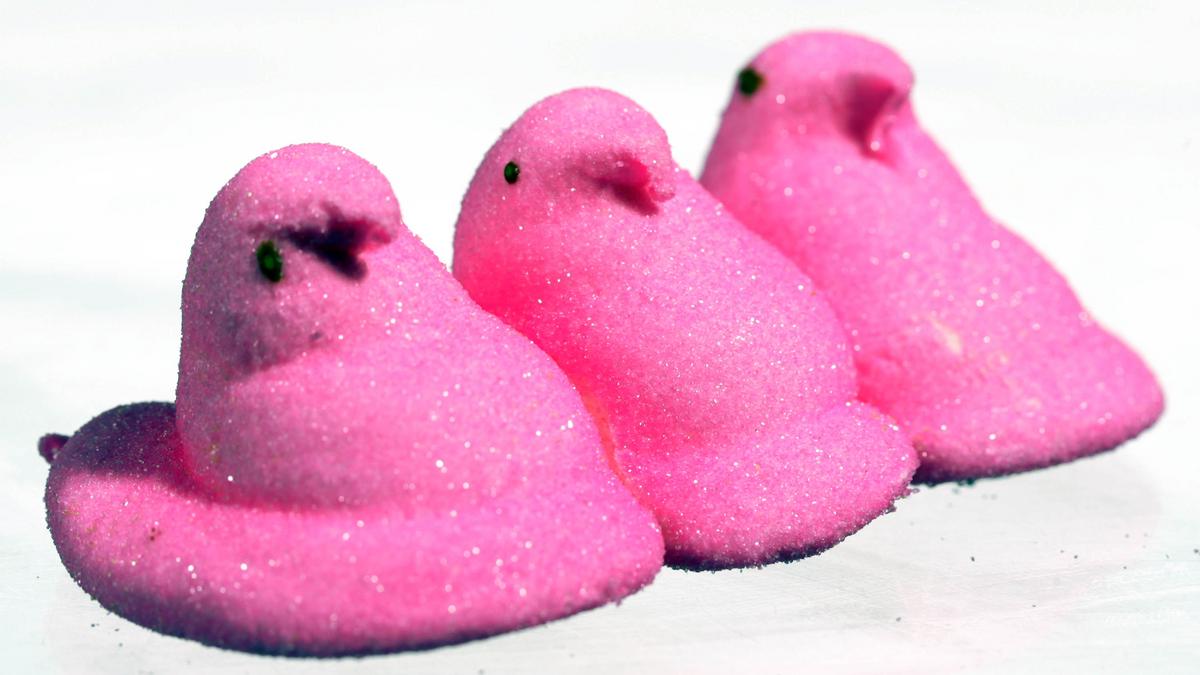 Emory University still proving that Peeps are nearly indestructible ...