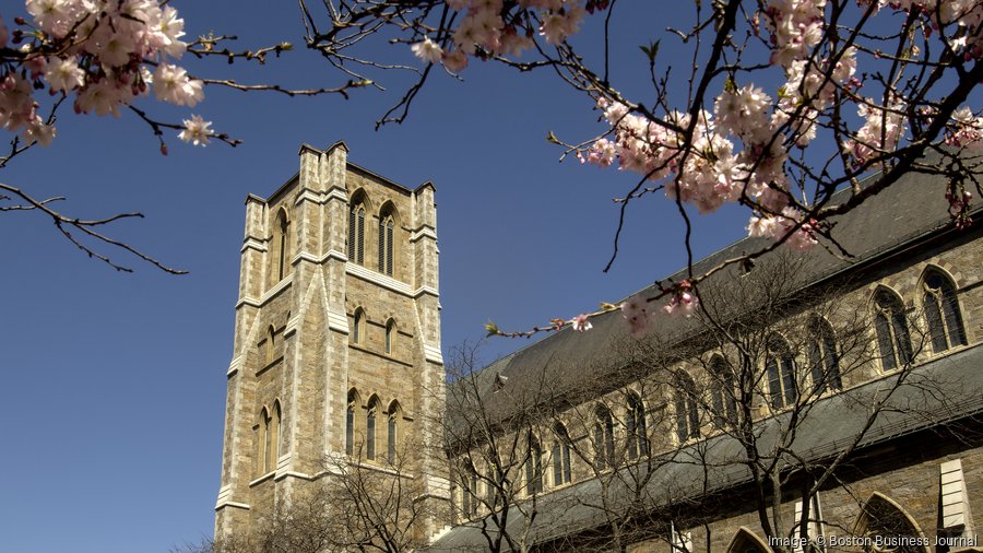 See inside the $26M renovation of Boston’s Cathedral of the Holy Cross ...