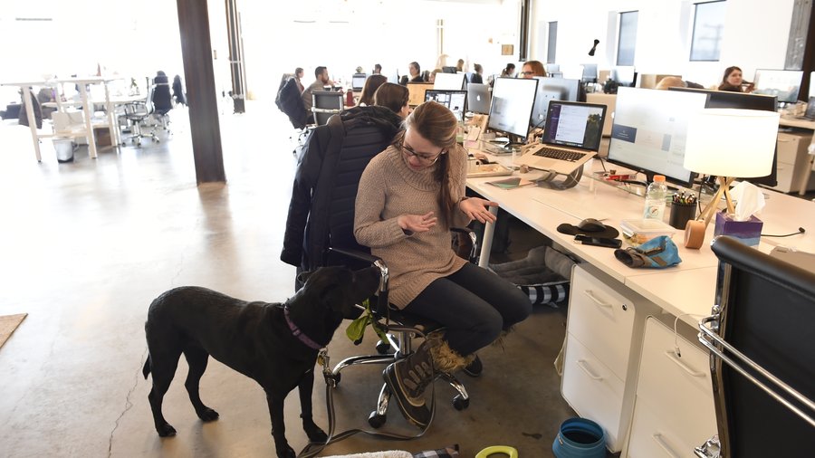 DBJ Offices: Tour 6 of the coolest workspaces we saw in 2019 - Denver ...