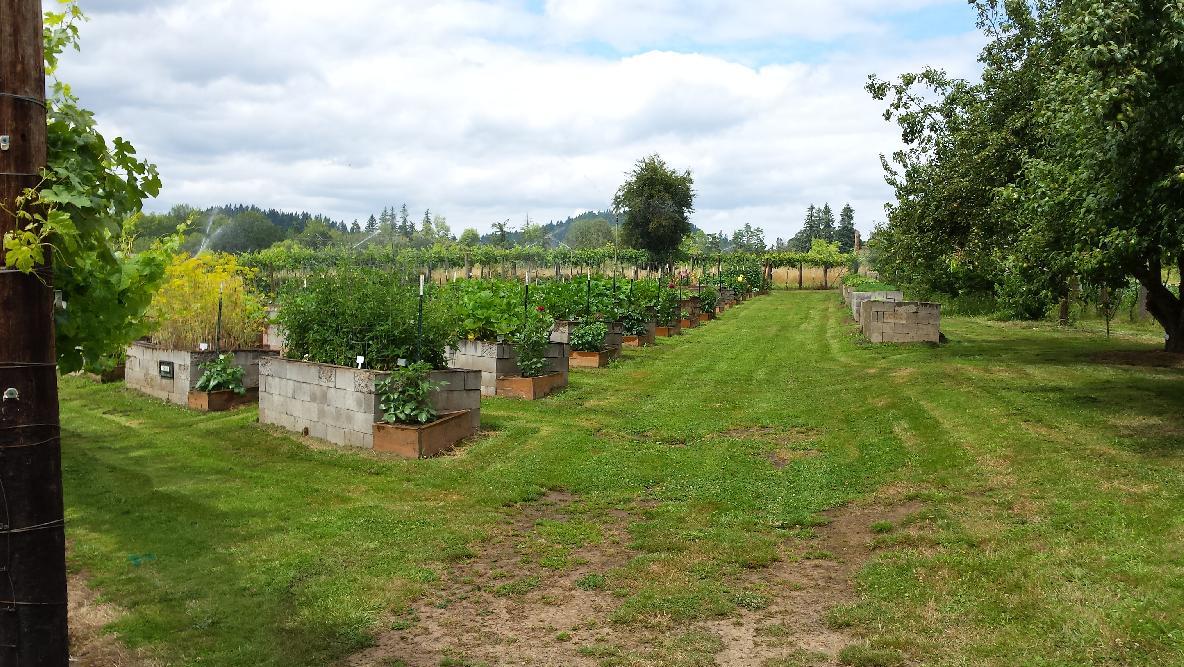 Farmland losses mount in Portland metro region - Portland Business Journal