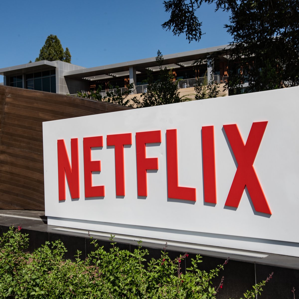 Netflix Bets on Live Sports With Jake Paul, Mike Tyson Fight - Business ...