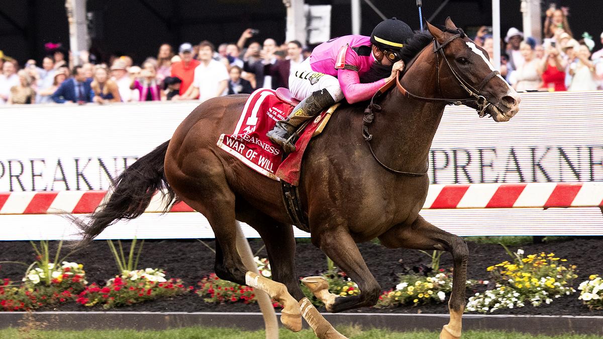 War of Will wins the Preakness Stakes - Louisville Business First