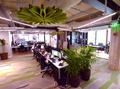 2019 Coolest Office Spaces: Florida digital media firm and SaaS spinoff ...