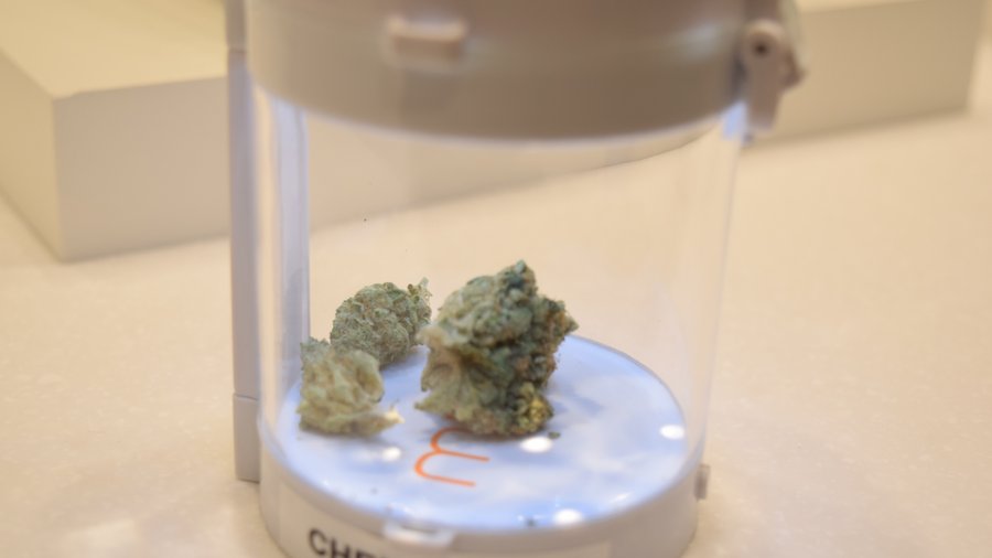 Florida among top 10 states for fastest-growing medical marijuana ...