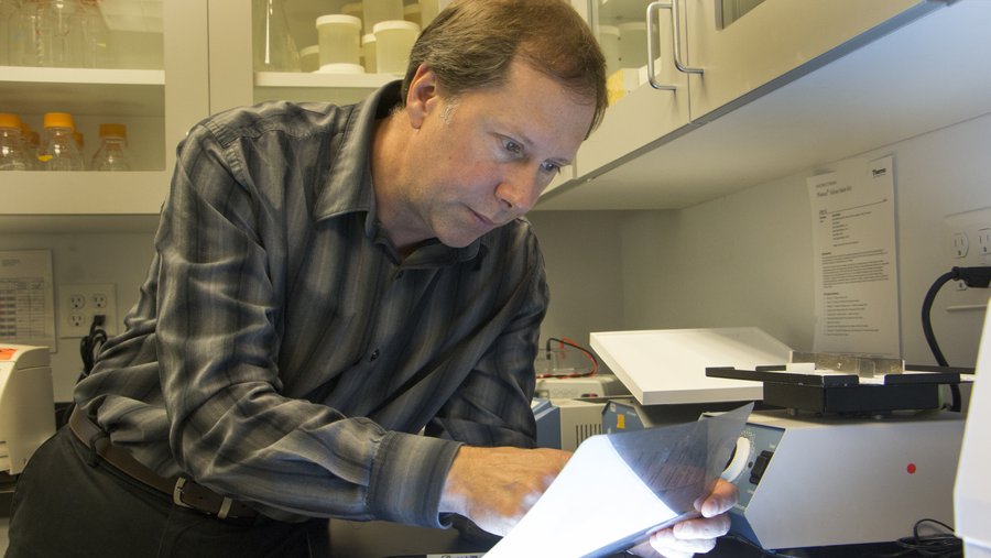 OHSU targets bacterial disease with new vaccine - Portland Business Journal