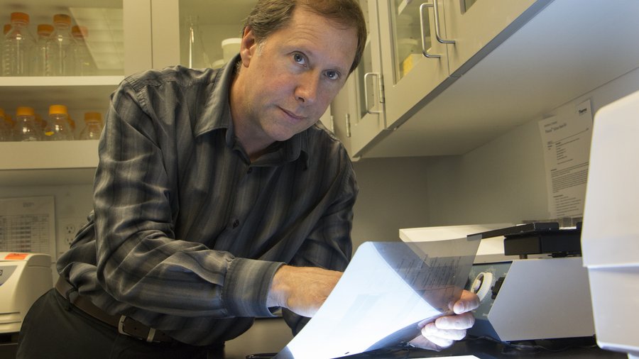 Najit Technologies takes an unusual approach to vaccines for mosquito ...