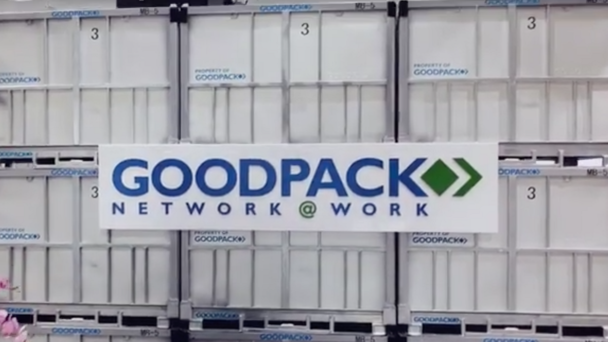 KKR looks to sell Singapore packaging giant Goodpack - New York ...