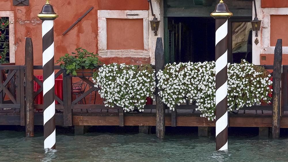 Ed Goldman: Dunlavey, Satterlee share a photography show focusing on ...