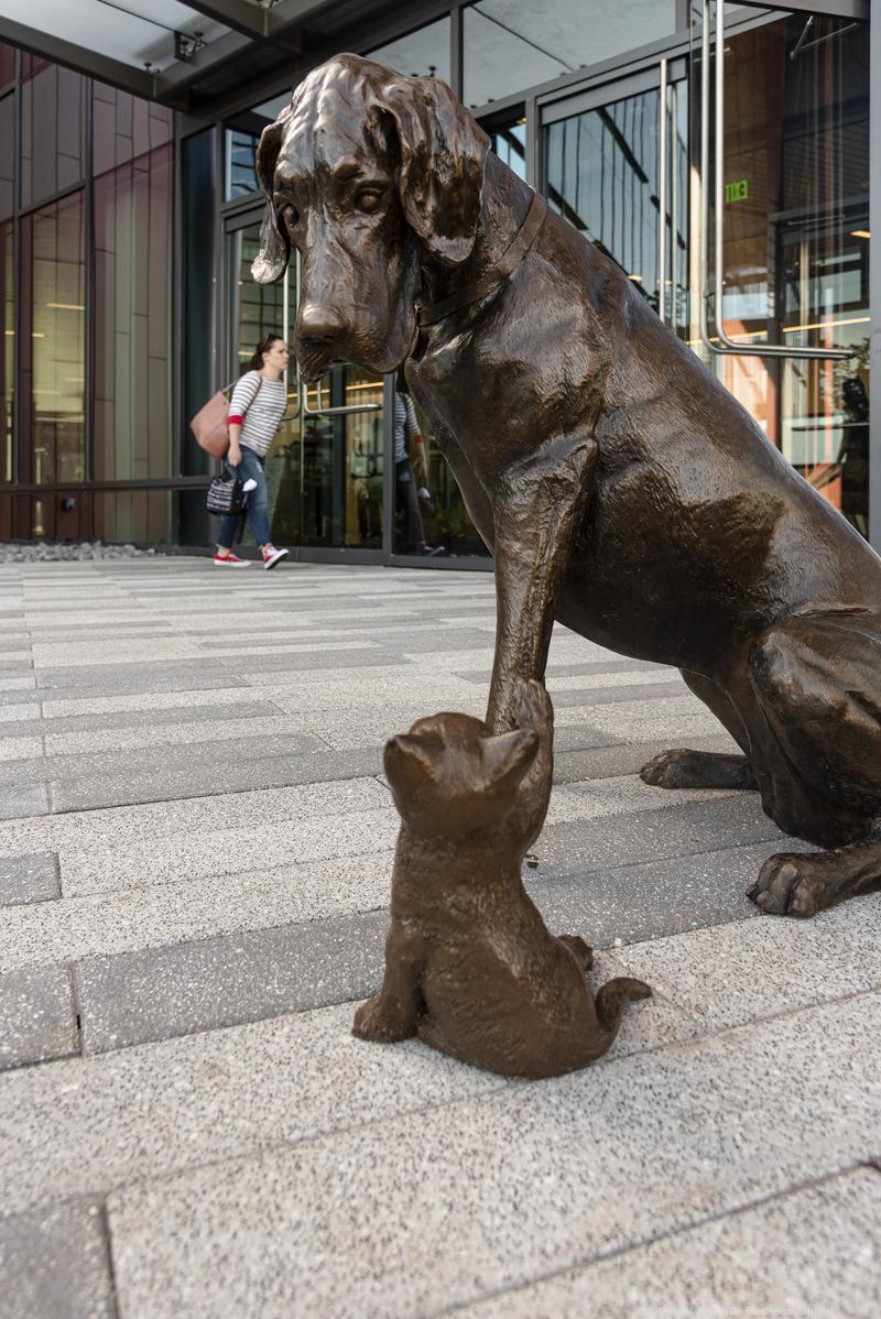 Mars Petcare HQ - Bizwomen
