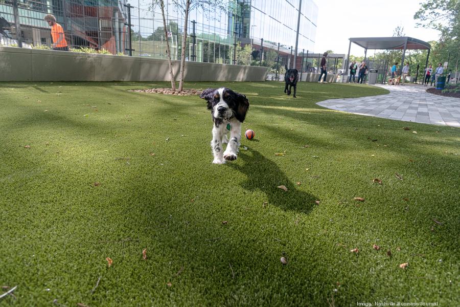 Mars Petcare HQ - Bizwomen