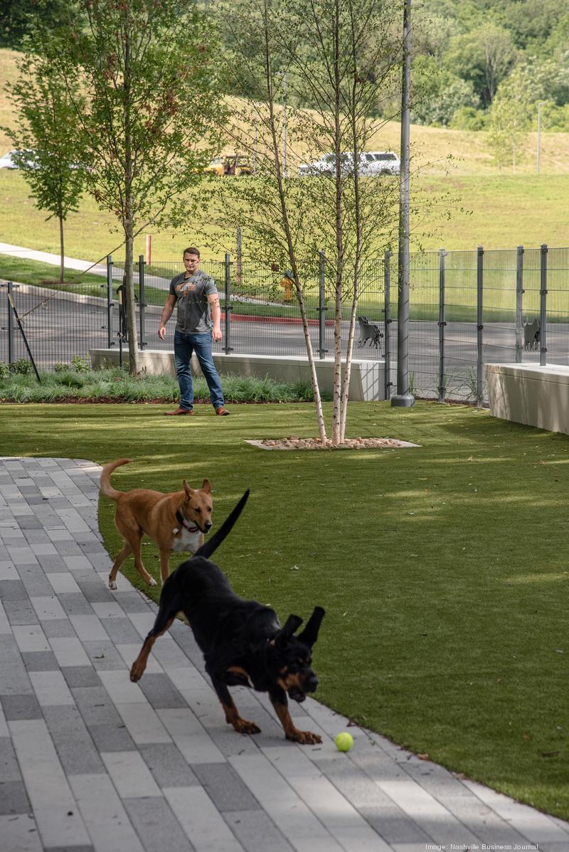 Mars Petcare HQ - Bizwomen