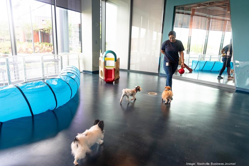 Mars Petcare HQ - Bizwomen