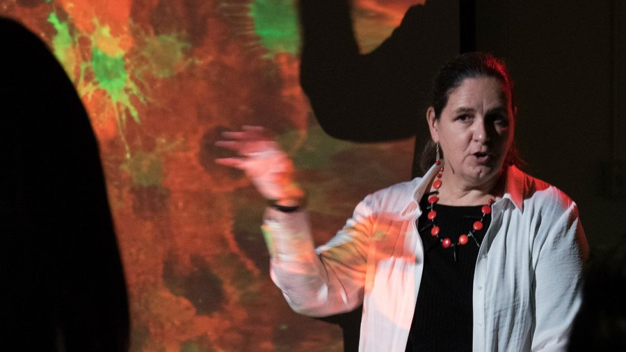 UMKC researcher Dallas explores how muscle and bone interact - Kansas ...