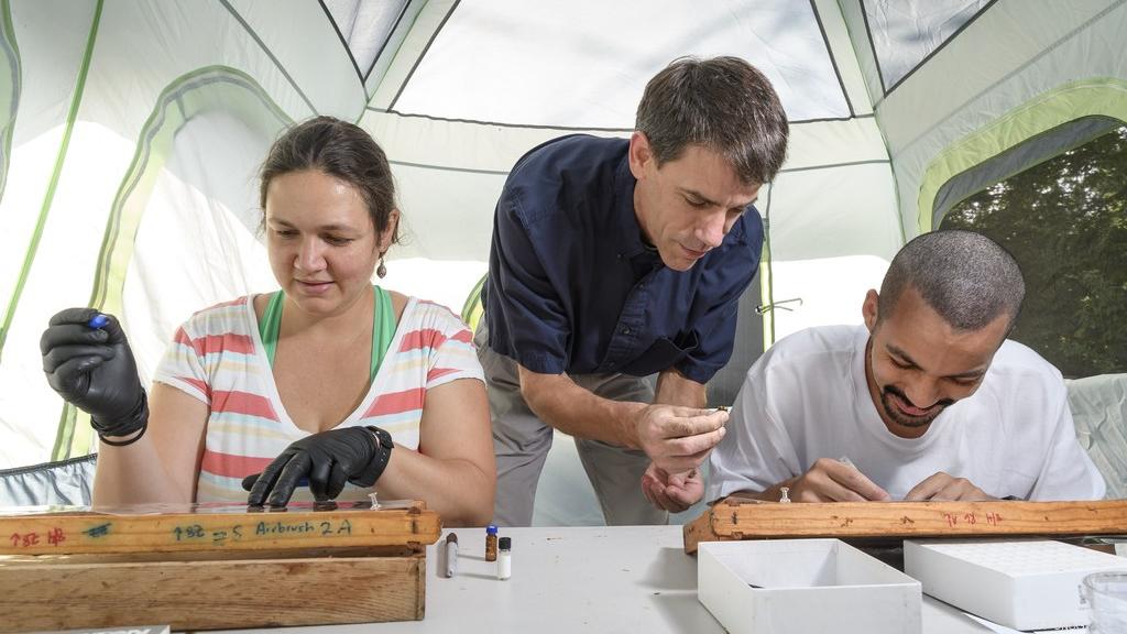 UNC-Greensboro opens Plant and Pollinator Center - Triad Business Journal