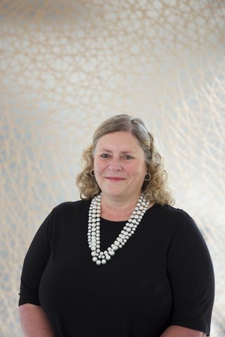 BJC's Sally Terrace appreciates health law's fast pace - St. Louis ...