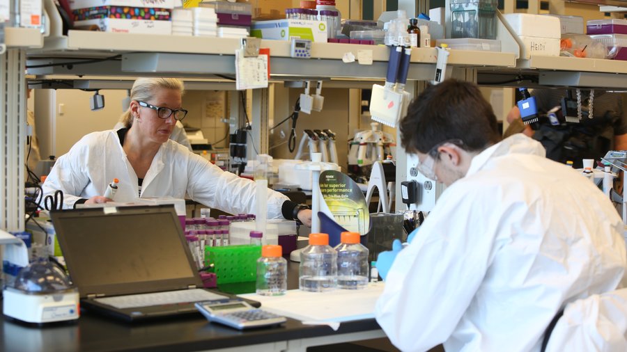 BioGenerator expands co-working labs - St. Louis Business Journal