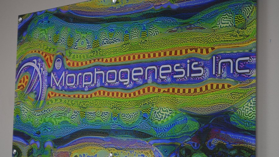 Morphogenesis to expand human cancer clinical trials - Tampa Bay ...