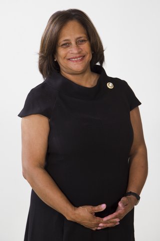 Ameren Corp. names Gwen Mizell chief sustainability and diversity ...