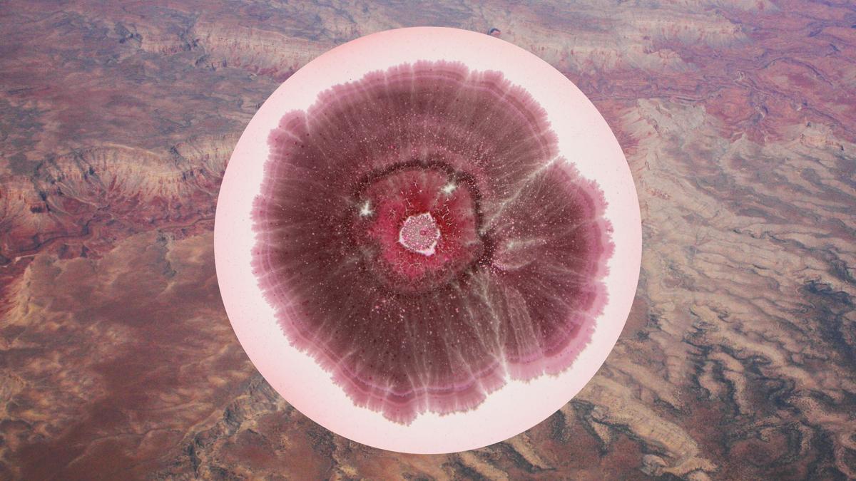 Luca Biologics launches to apply microbiome to fertility, women's ...