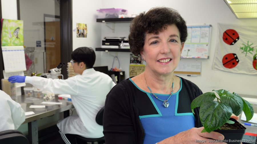 Marrone Bio hemp products approved by EPA - Sacramento Business Journal