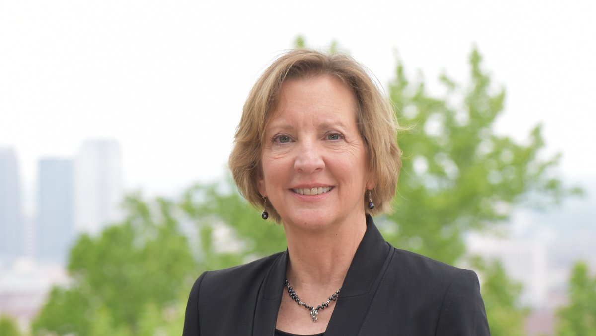 Vulcan Park Foundation CEO retiring, Cynthia Cardona named successor ...