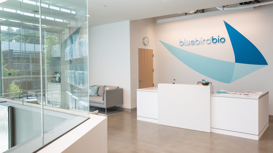 Bluebird Bio's offers sneak peek into new Seattle office (Photos ...