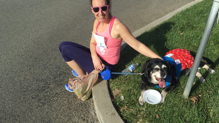 Business lessons from dogs - Sacramento Business Journal