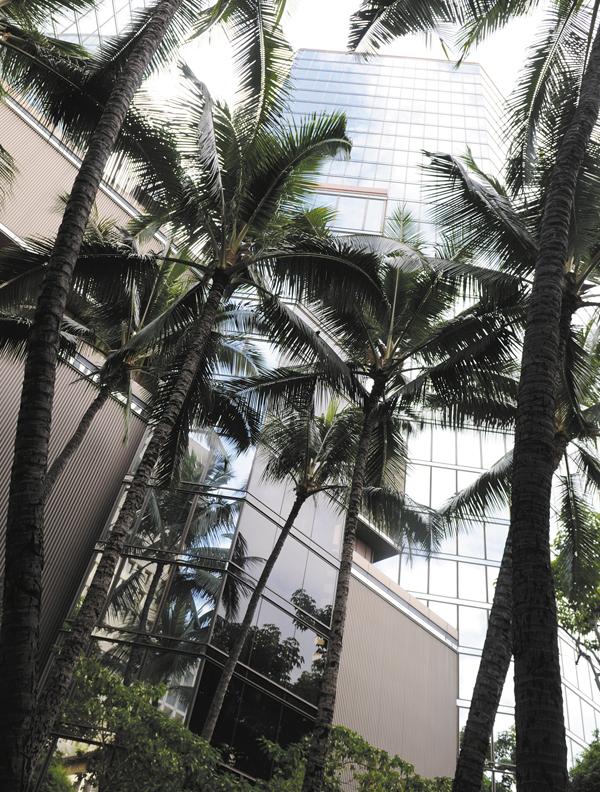 Nonprofit Insights To Success doubles space with downtown Honolulu move ...