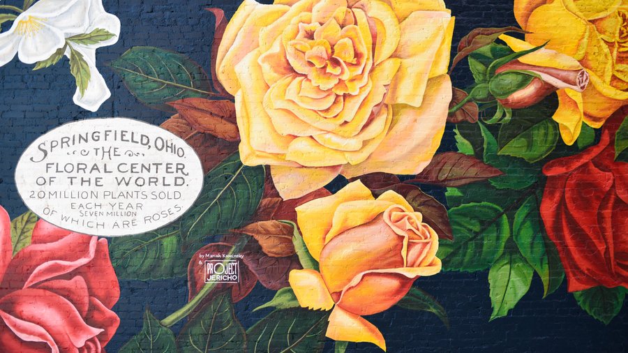 Springfield's new rose mural downtown - Dayton Business Journal