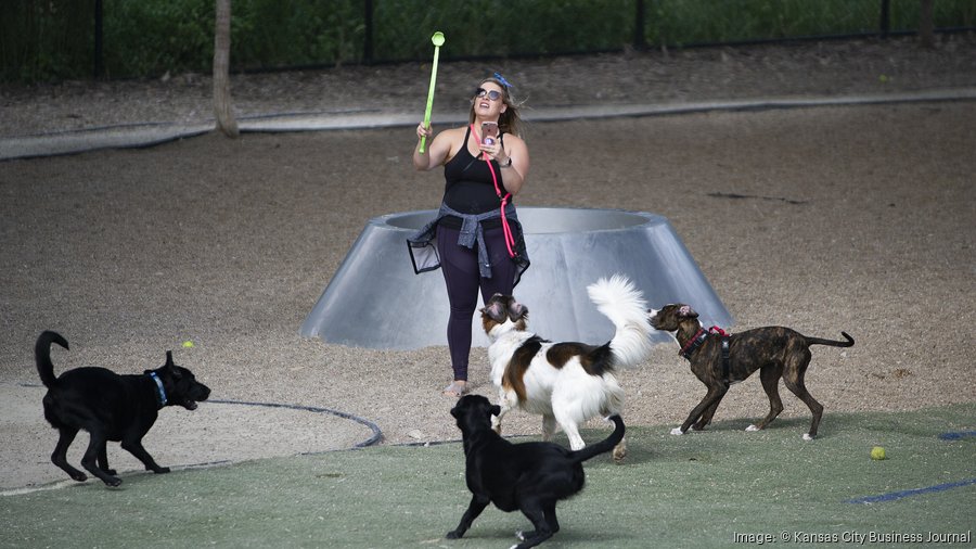 Bar K fetches acquisition deal with Diversified Partners that will lead ...